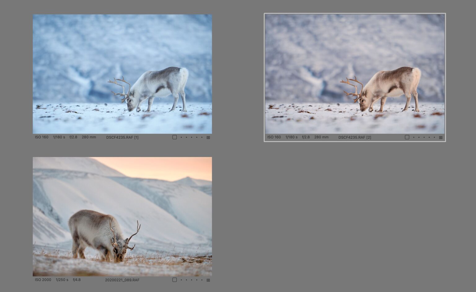 Capture One 16.5 brings AI People Selection and a Match Look feature to ...